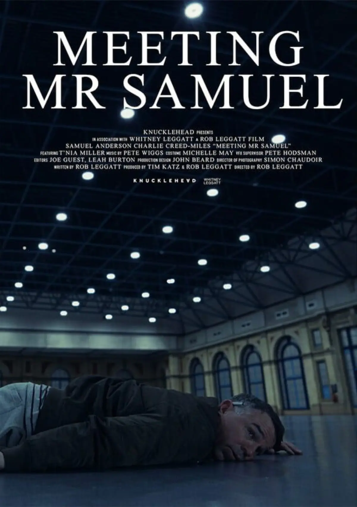 Meeting Mr Samuel streaming: regarder le film en streaming