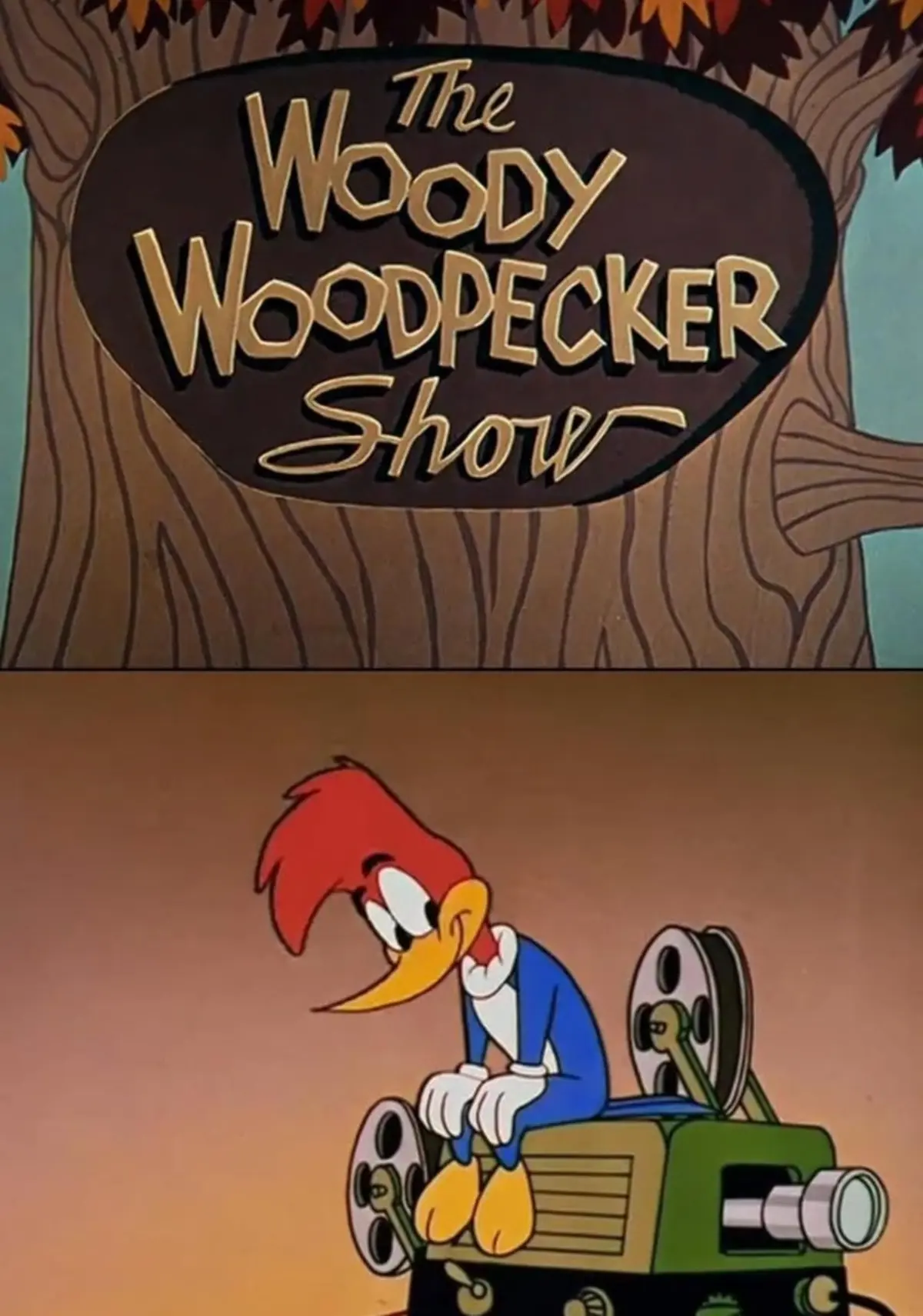 Woody Woodpecker S05E29 Épisode 29 streaming: regarder en streaming