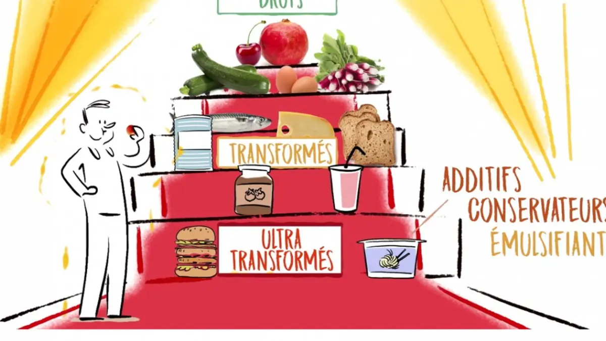 Replay C'est bon à savoir du 21/06/2021 : Des aliments bruts à ultra transformés