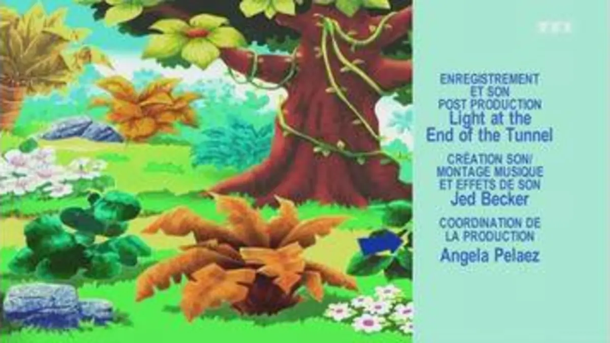 Replay Dora l'exploratrice du 19/07/2019 : Walter le hamster - Dora l ...