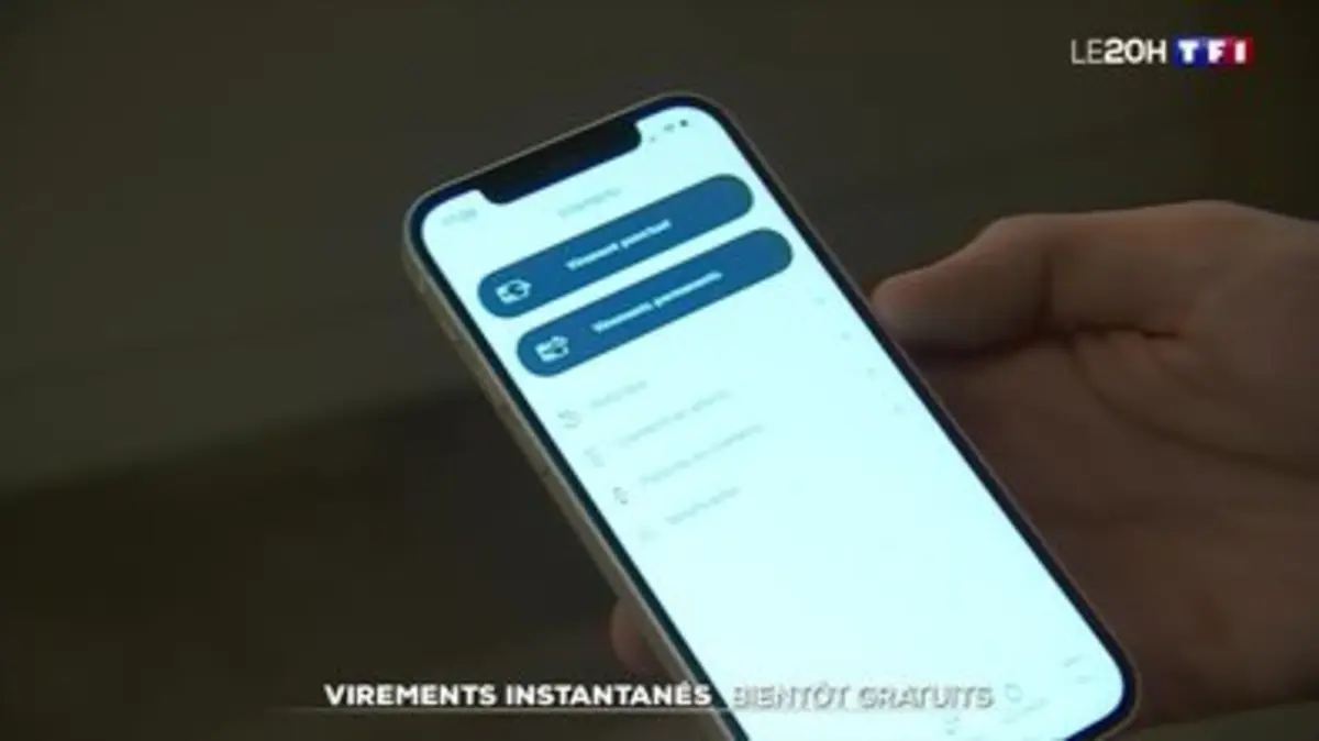 Replay Journal de TF1 du 05/12/2023 : Virements instantanés : bientôt ...