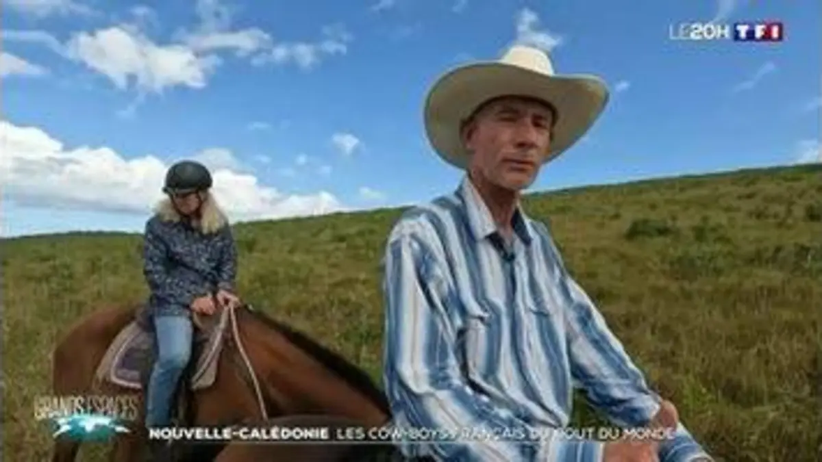 Replay Journal de TF1 du 17/07/2022 : Nouvelle-Calédonie : les cow-boys ...